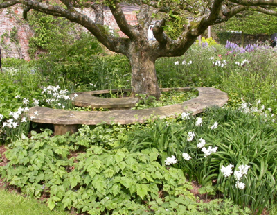 Designing shade into the garden - Janet Bligh